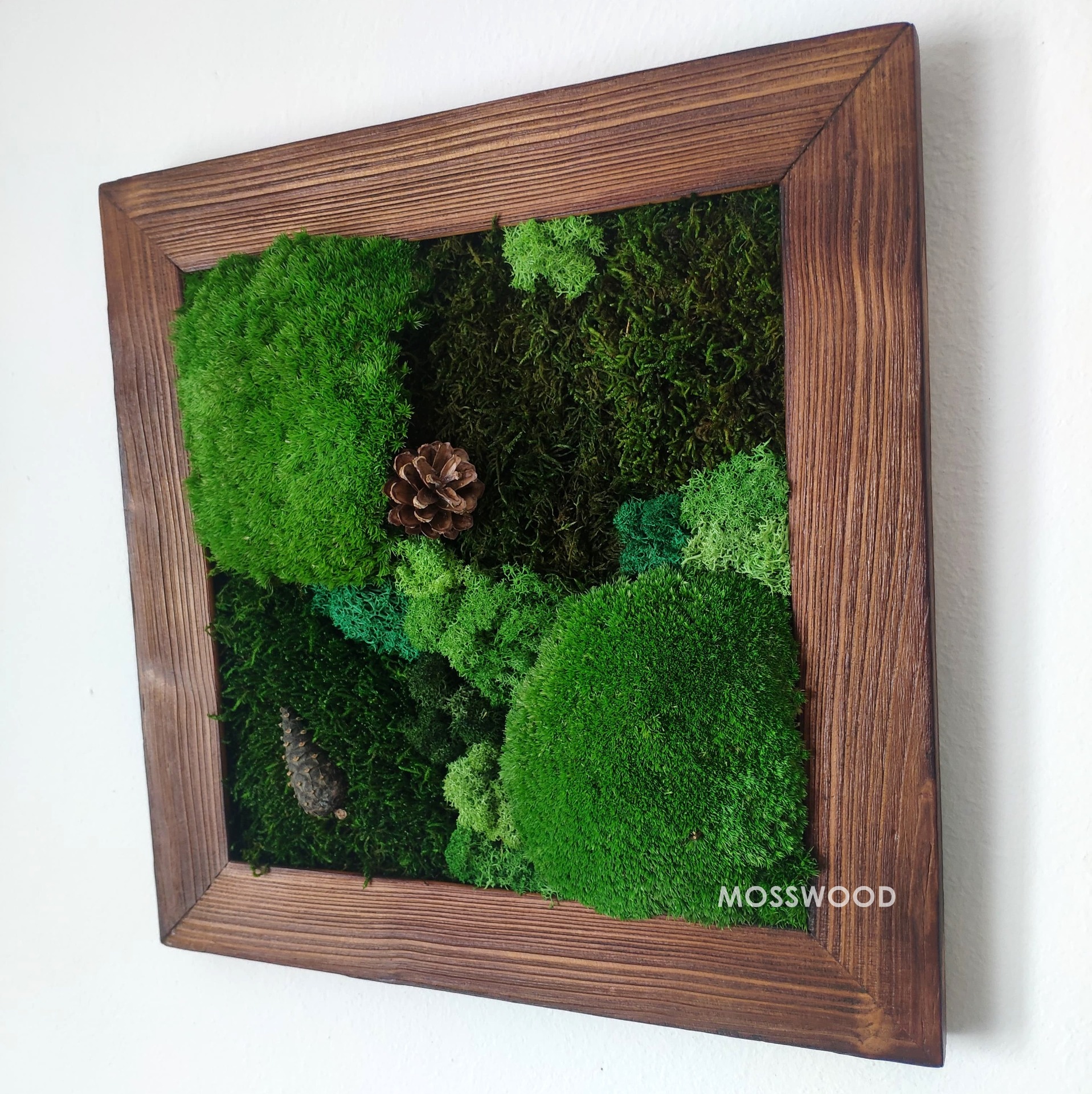 Hranatý obraz s rôznymi druhmi machov :: MossWood