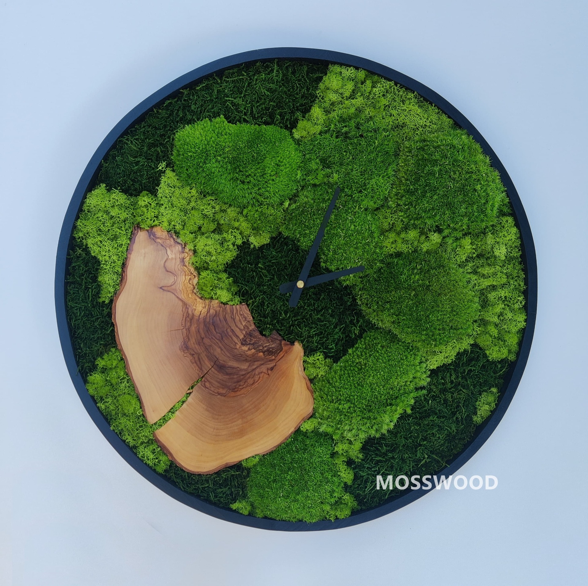 Machové hodiny - olive :: MossWood