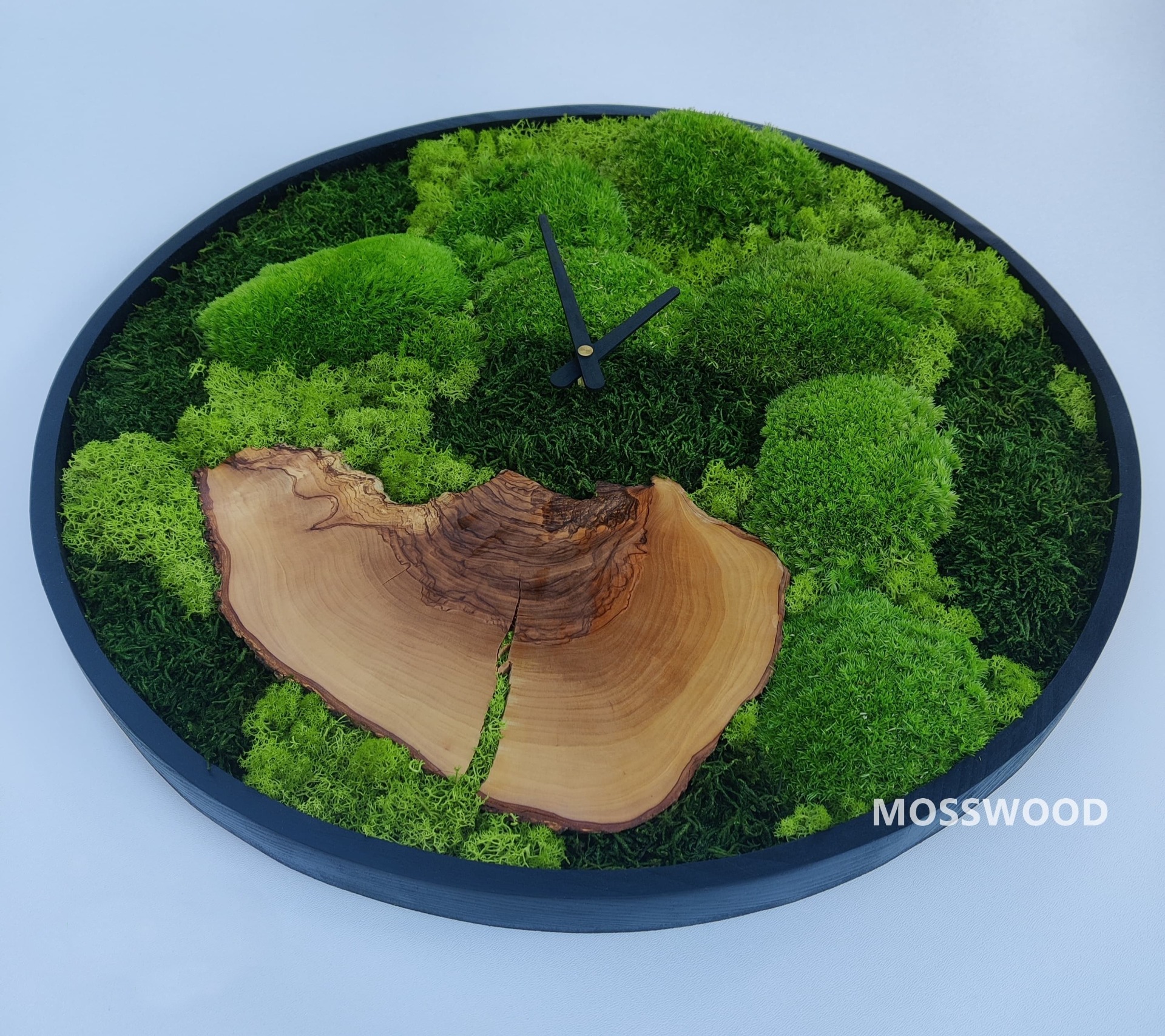 Machové hodiny - olive :: MossWood